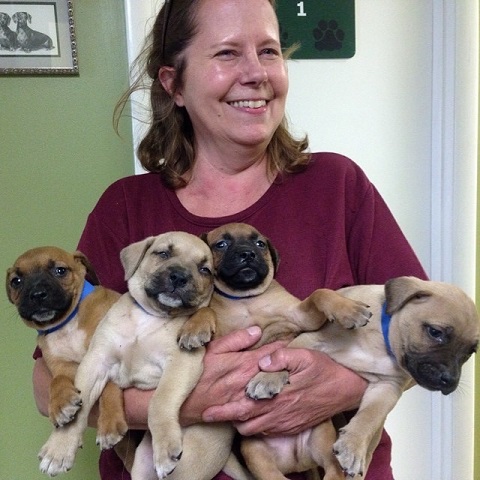 Helping homeless animals – and their humans – in Nashville • INSP News ...