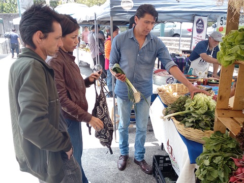 Local Farmers and Consumers Create Short Food Supply Chains in Mexican ...