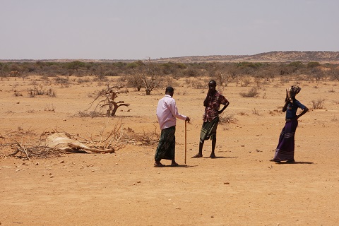 Ethiopia’s Internally Displaced Overlooked Amid Refugee Crises • INSP ...