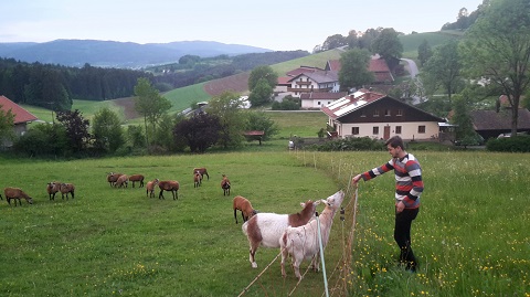 Refugees and the rural way of life • INSP News Service