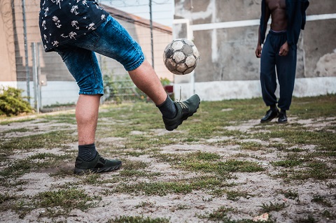 Prolific Insp News Service