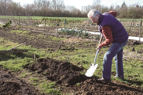 Ancient farming methods are flourishing in the Netherlands • INSP News ...
