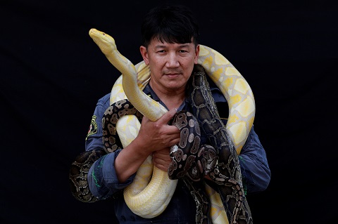 Thailand's stealthy self-styled snake wrangler • INSP News Service