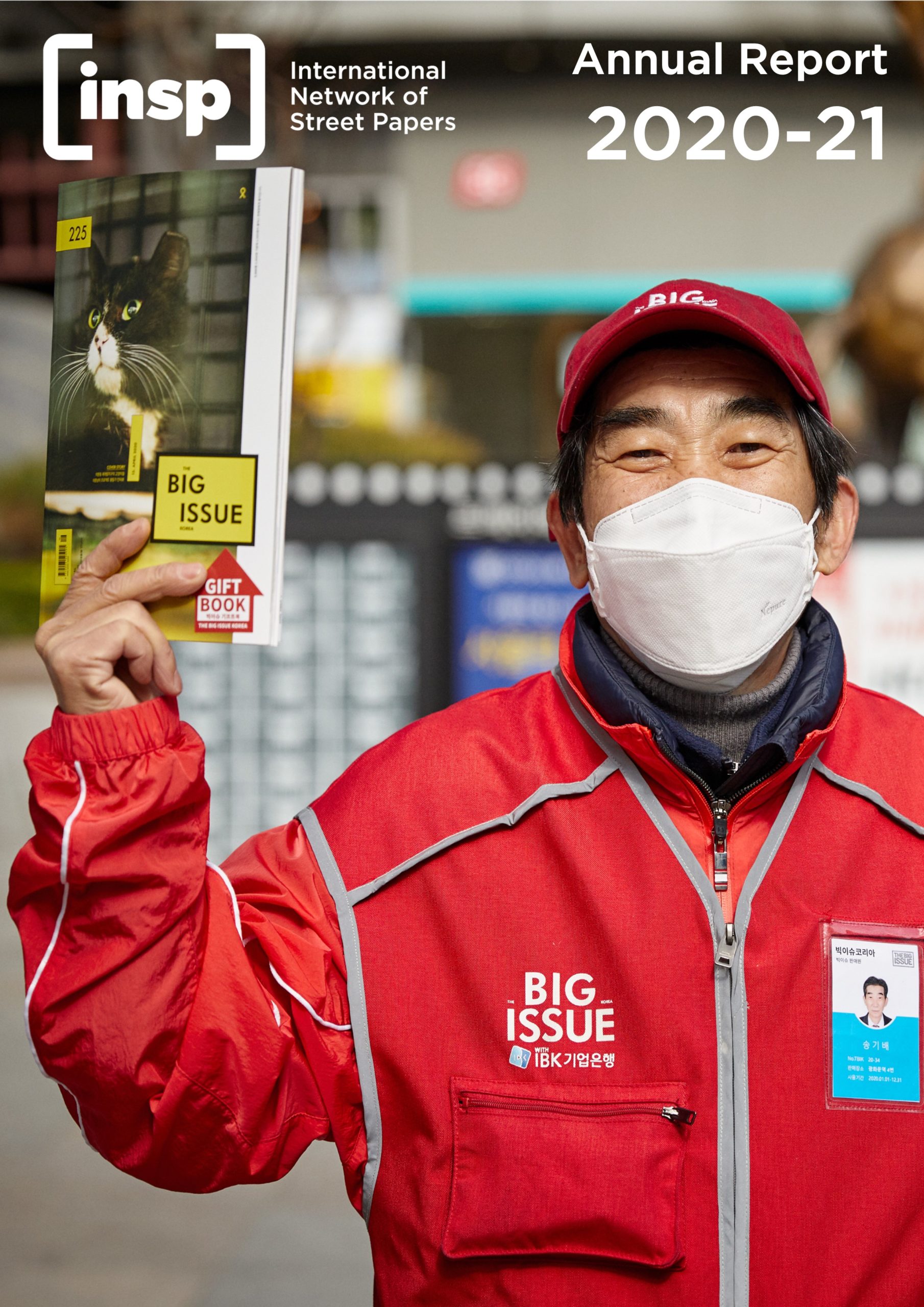 Annual reports & accounts • INSP