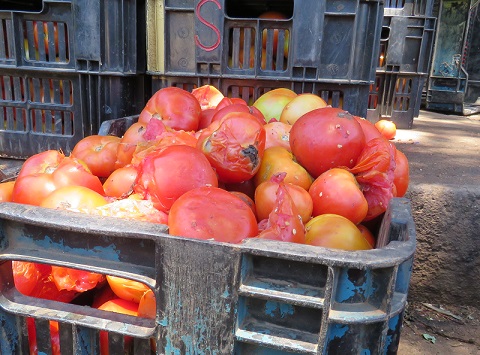 Cool scheme to reduce food waste in Nigeria • INSP News Service