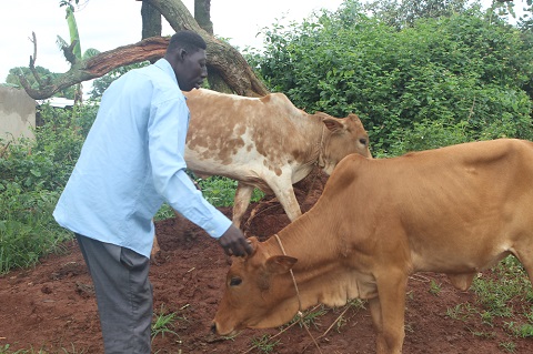 Disability inclusion lifts rural Ugandan families from poverty • INSP ...