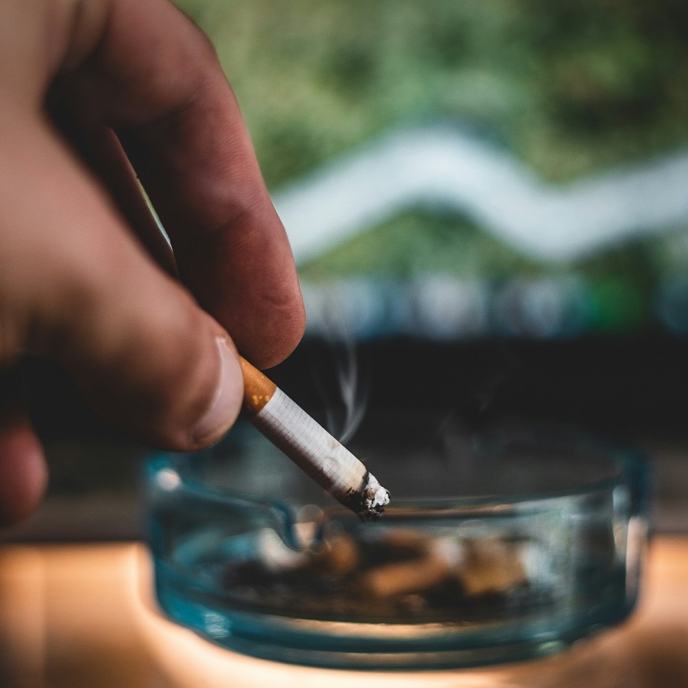 How smoking poses serious health risks to pets • INSP News Service