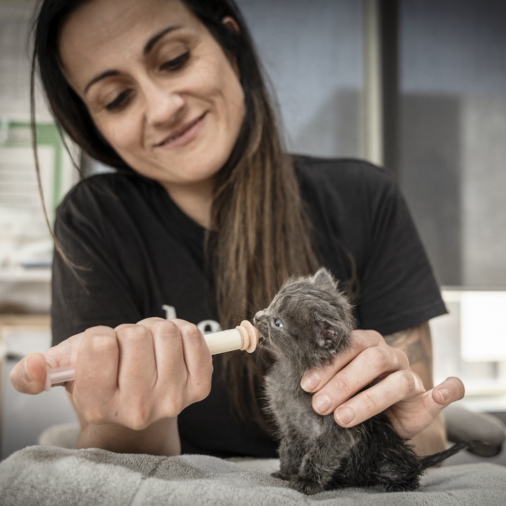 Pet project: inside Australia’s pet food pantries • INSP News Service